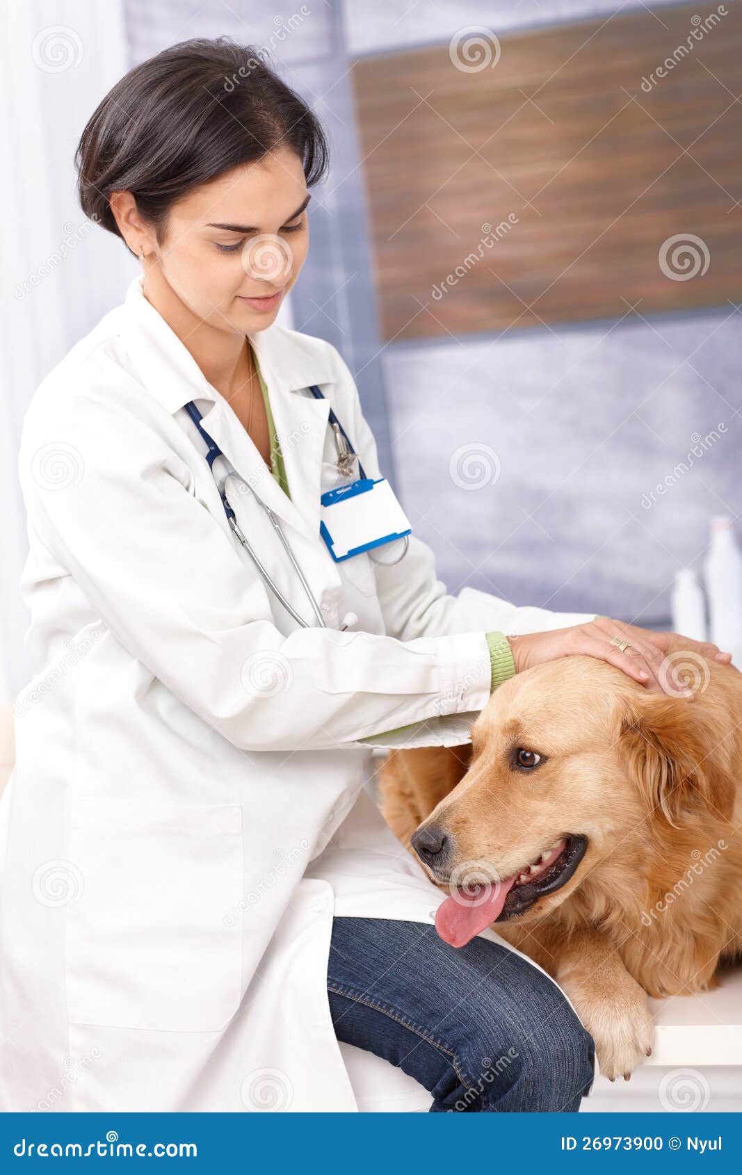 Female Veterinary Surgeon Examining Dog Stock Photo - Image of check ...