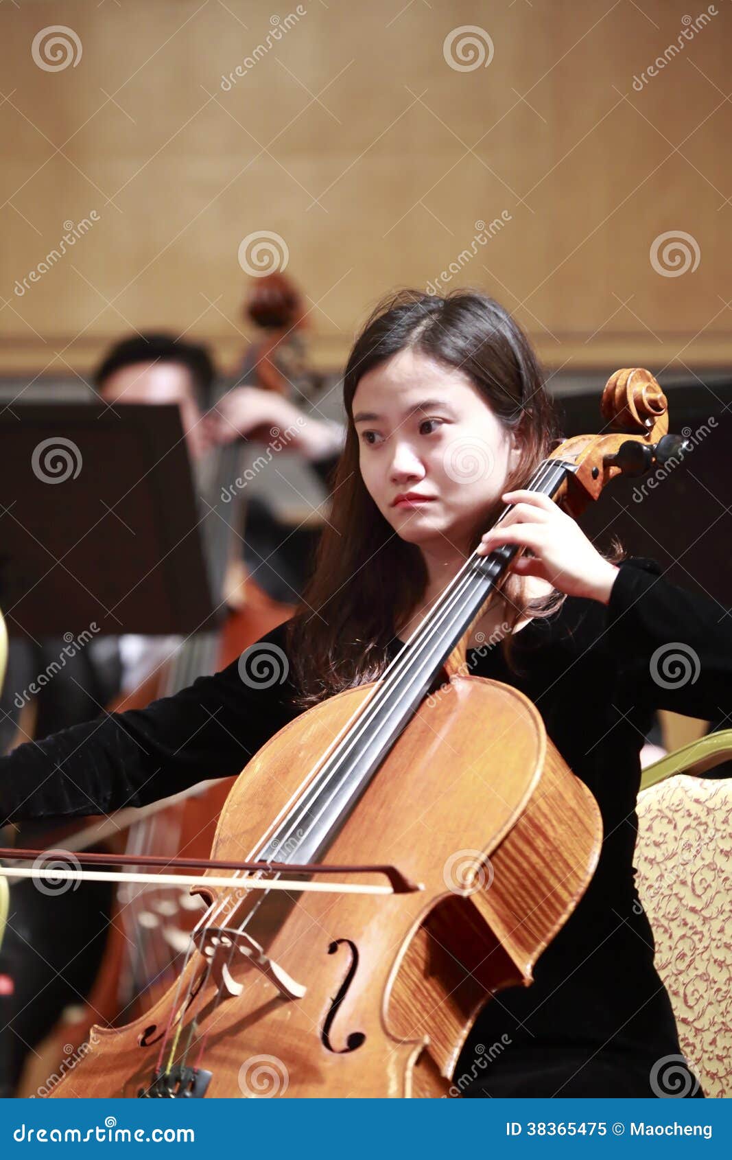 Female viola musician editorial image. Image of instruments - 38365475