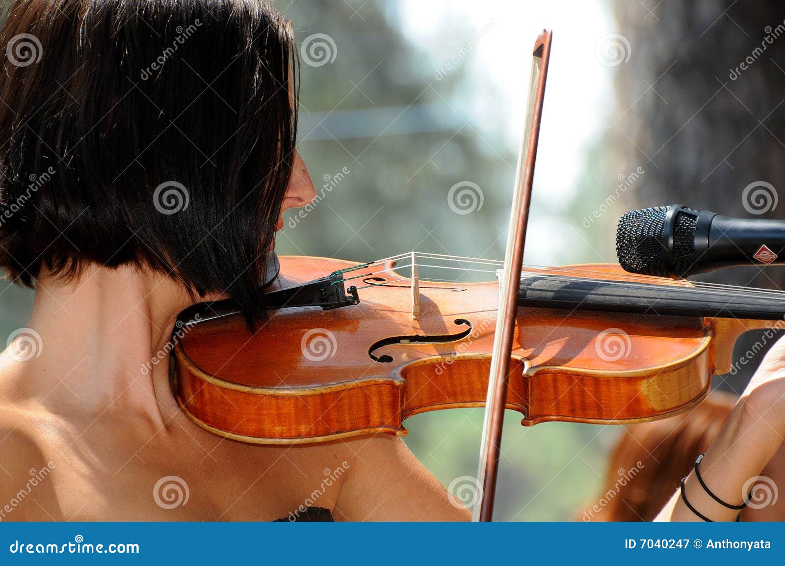 Female Violinist stock image. Image of instrument, fashion - 7040247