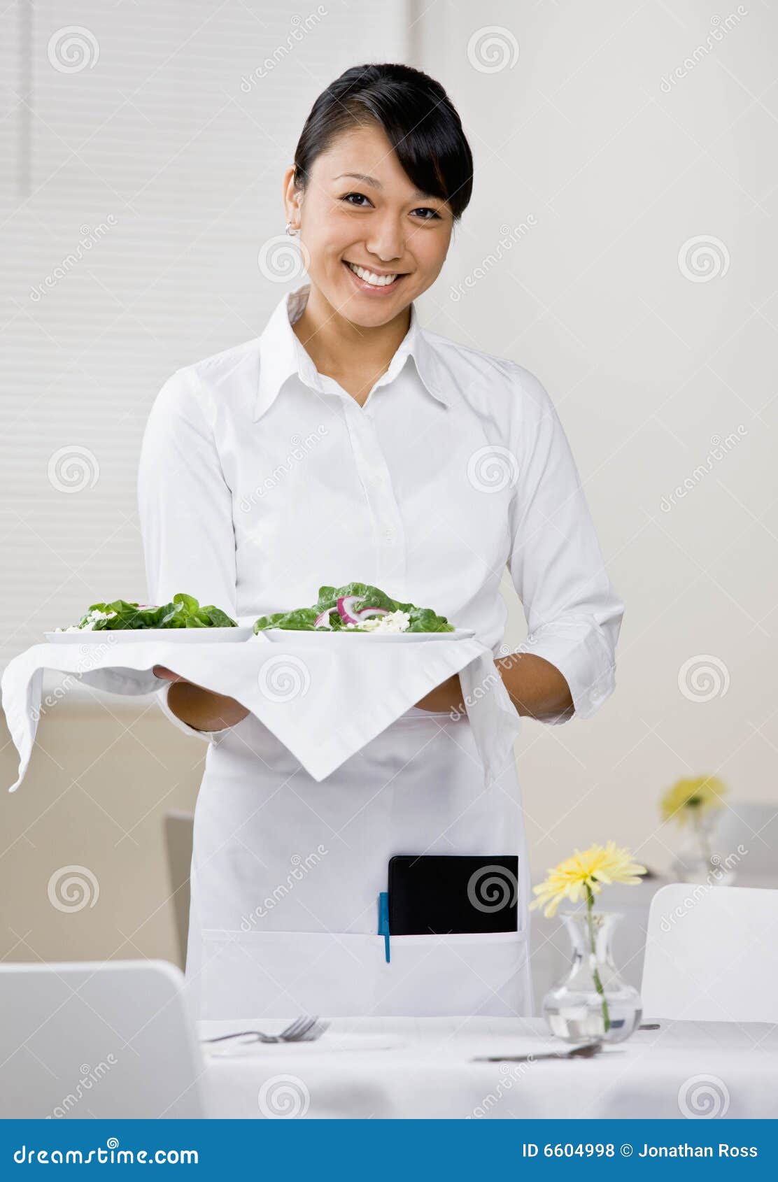 Female waitress stock photo. Image of service, portrait - 6604998