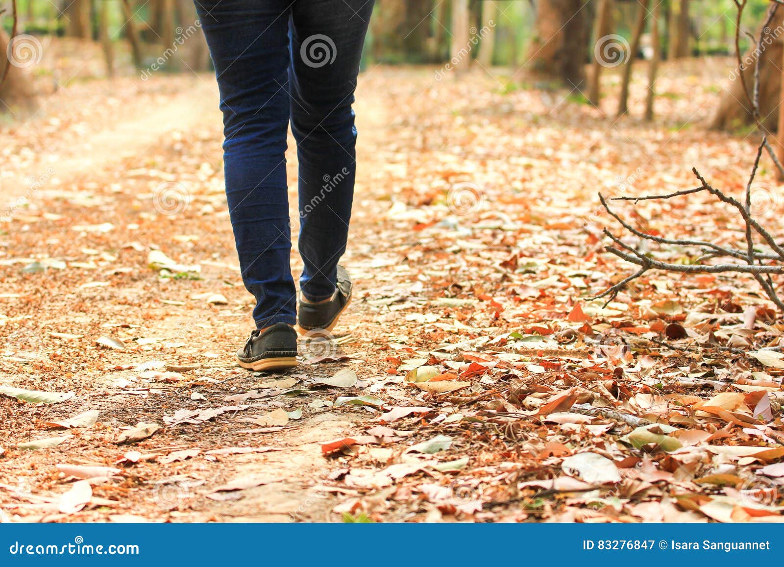 Female walking on path stock image. Image of nature, people - 83276847