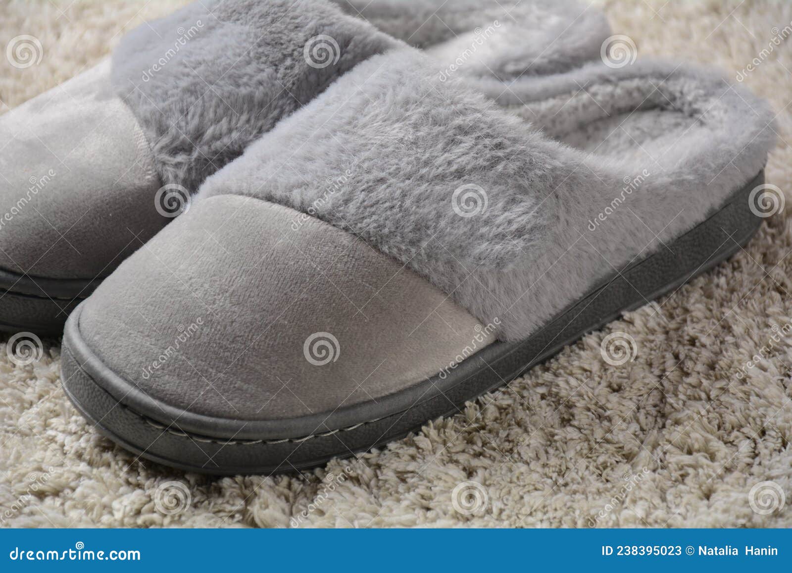 A Female Warm Slippers on Grey Mat. Pair of Comfortable Slippers Stock ...