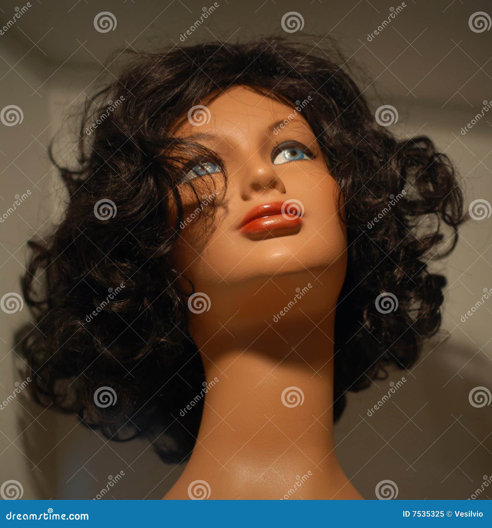 943 Female Beaver Photos - Free & Royalty-Free Stock Photos from Dreamstime