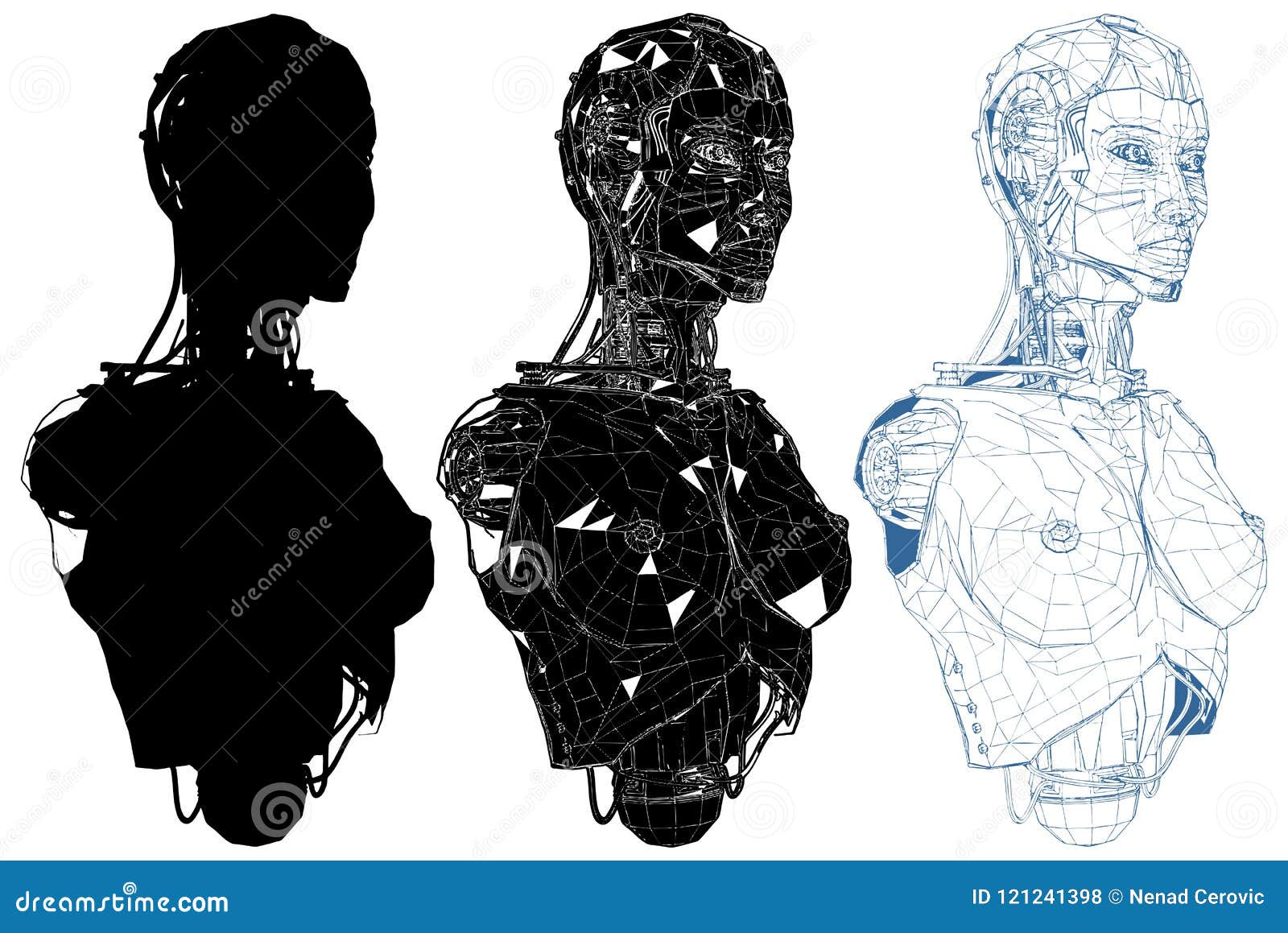 Female Woman Android with Internal Technology Vector Stock Vector ...