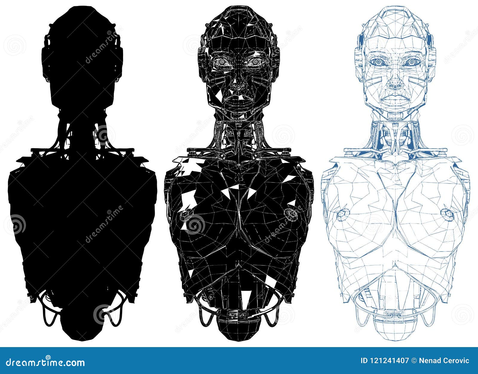 Female Woman Android with Internal Technology Vector Stock Vector ...