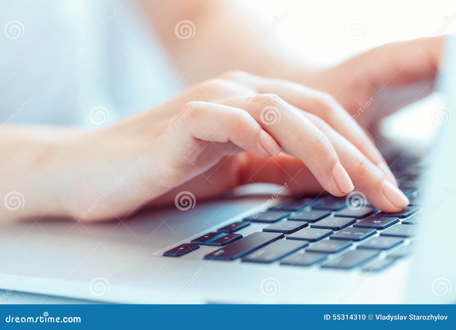 Female Woman Office Worker Typing on the Keyboard Stock Photo - Image ...