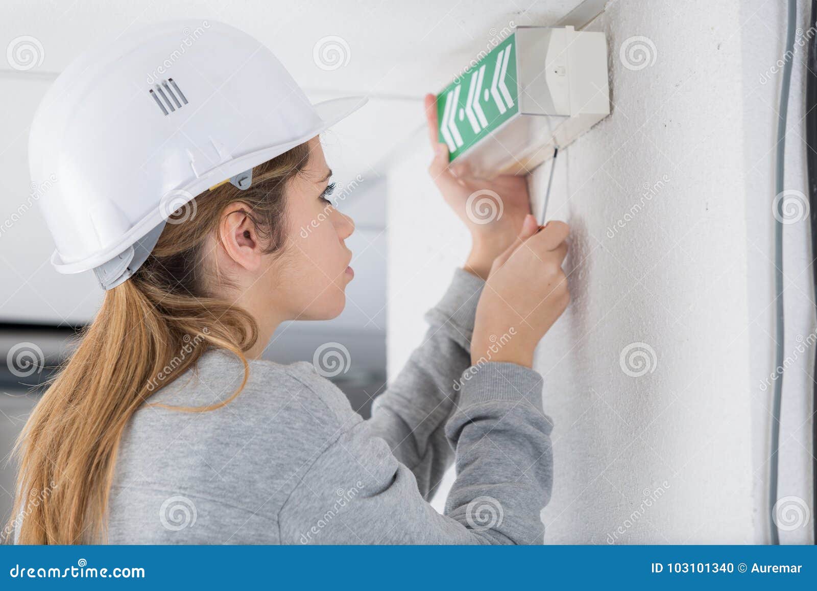 Female Workar with Ladder Fitting Sign Stock Photo - Image of ladder ...