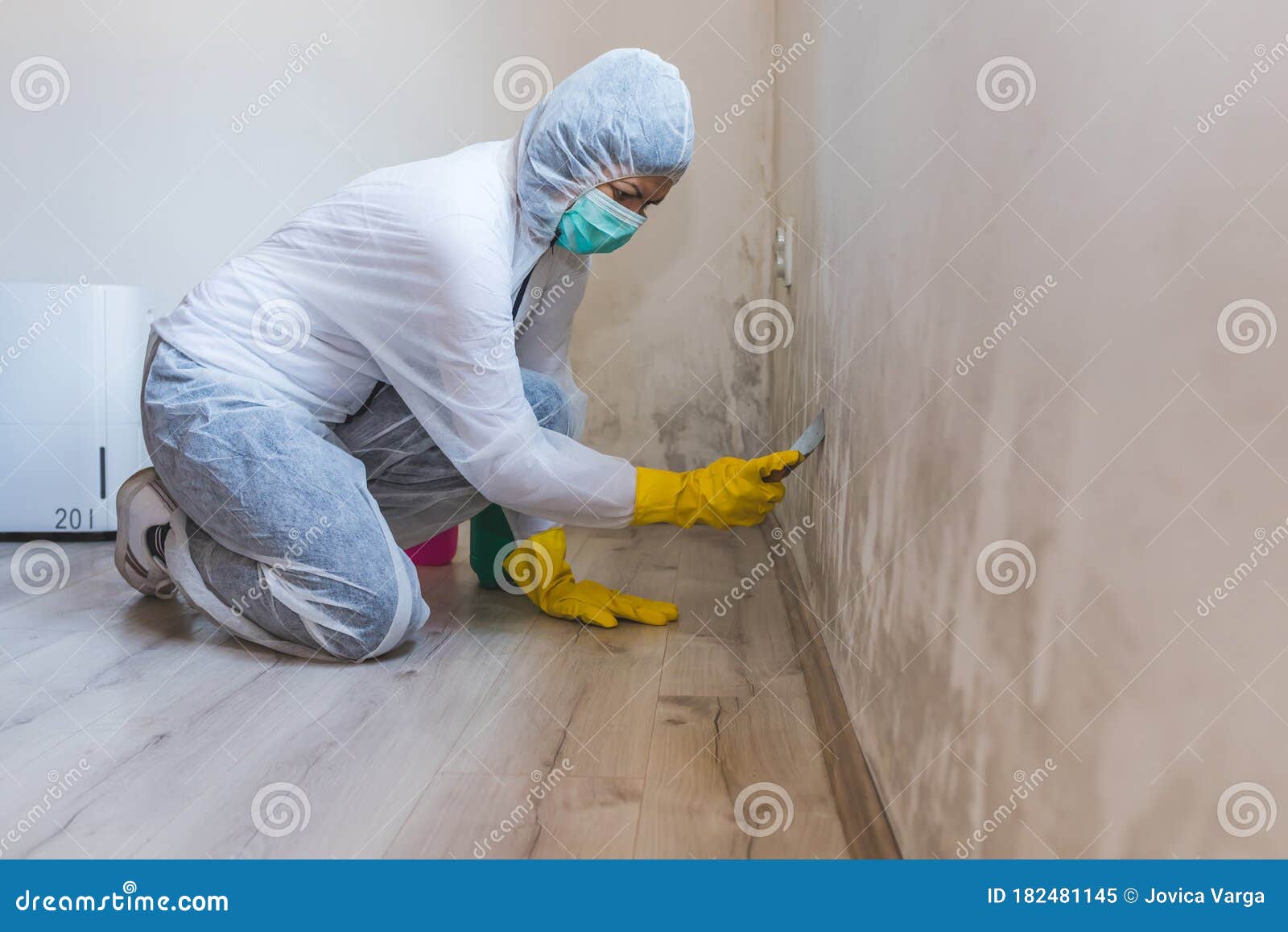 Worker of Cleaning Service Removes the Mold Using Scraper Tool Stock ... Worker of Cleaning Service Removes the Mold Using Scraper Tool Stock ...