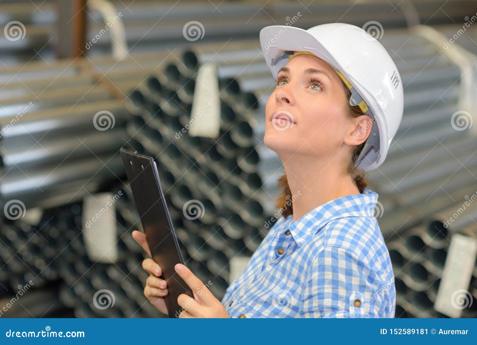Female Worker Inspecting Warehouse Stock Image - Image of professional ...