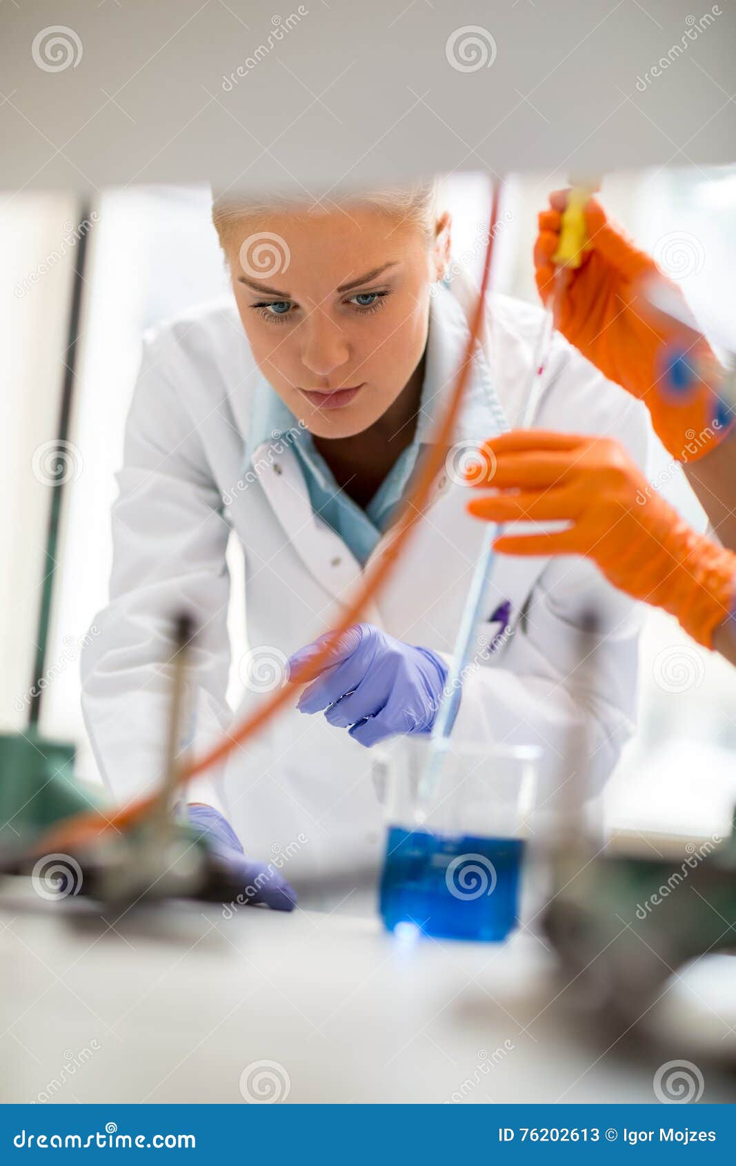 Female Worker in Laboratory Take Sample of Liquid with Pipette Stock ...