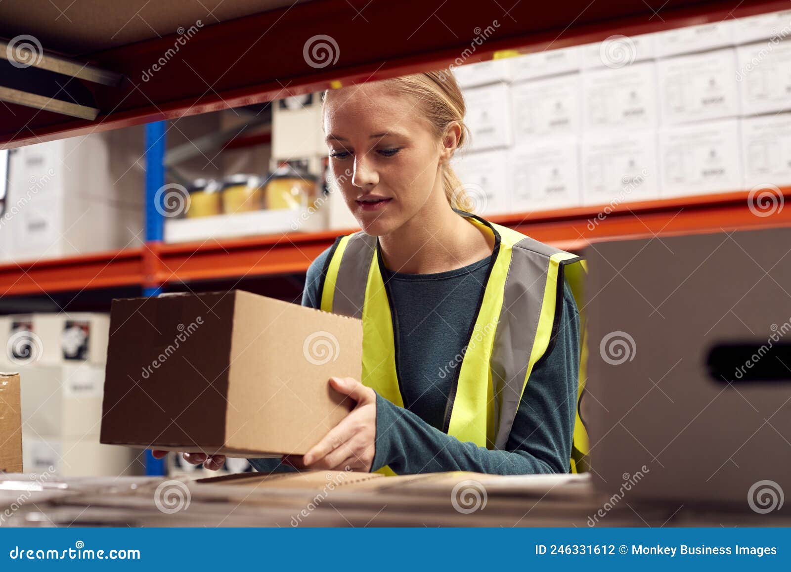 Female Worker Picking Box from Shelf Inside Warehouse Stock Photo ...