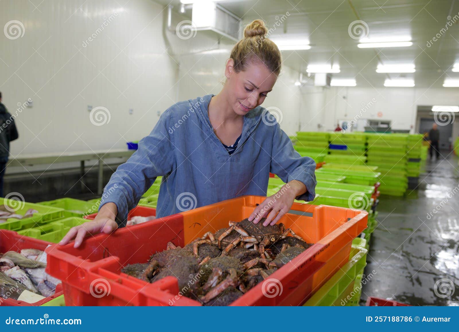 Female Worker Sorting through Basket Crabs Stock Photo - Image of port ...