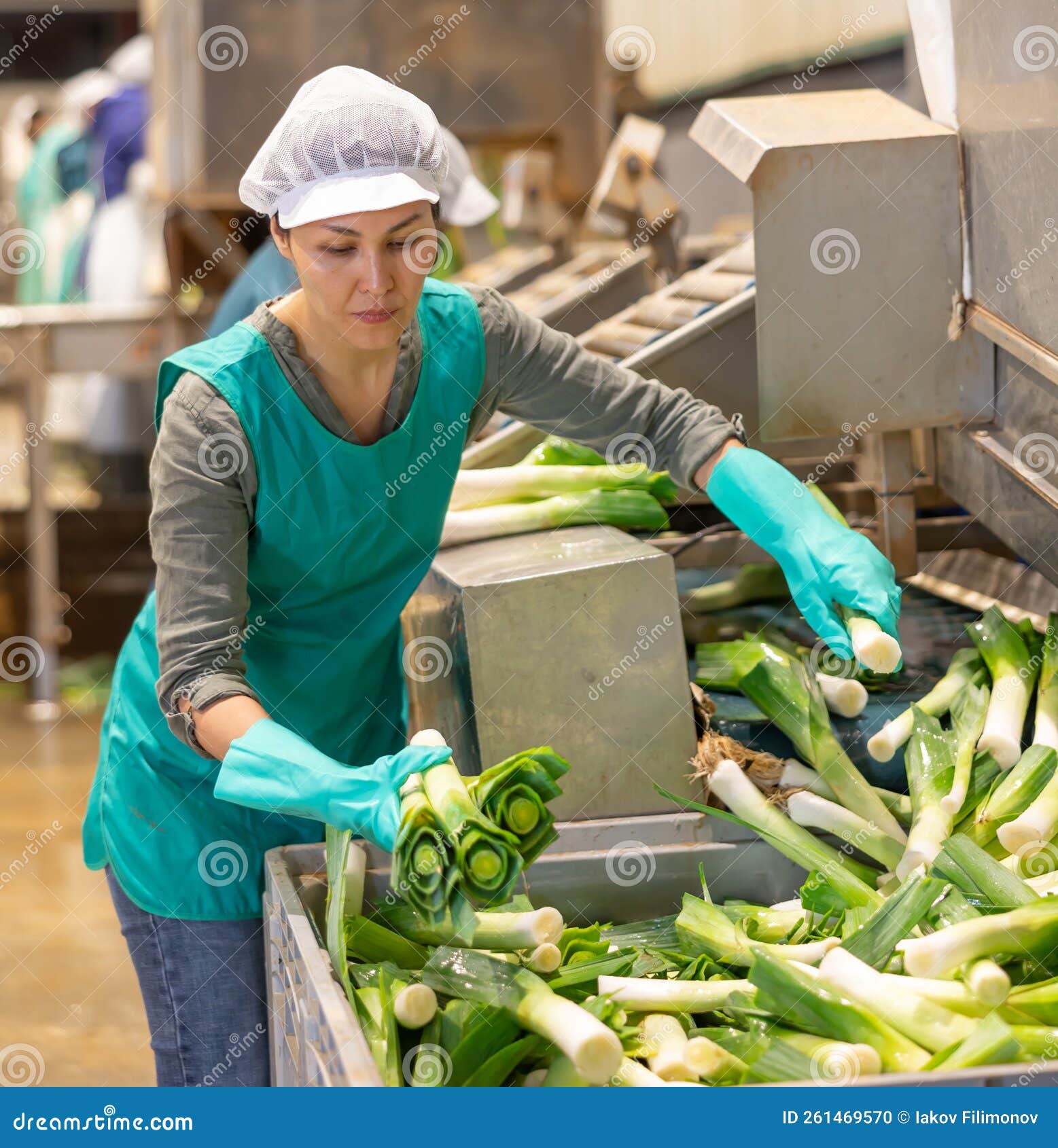 Female Worker in Vegetable Factory is Washing Leeks after Sorting on ...