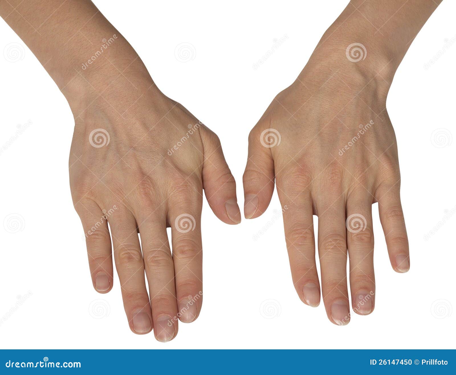 Feminine hands stock photo. Image of anatomy, path, thumb - 26147450