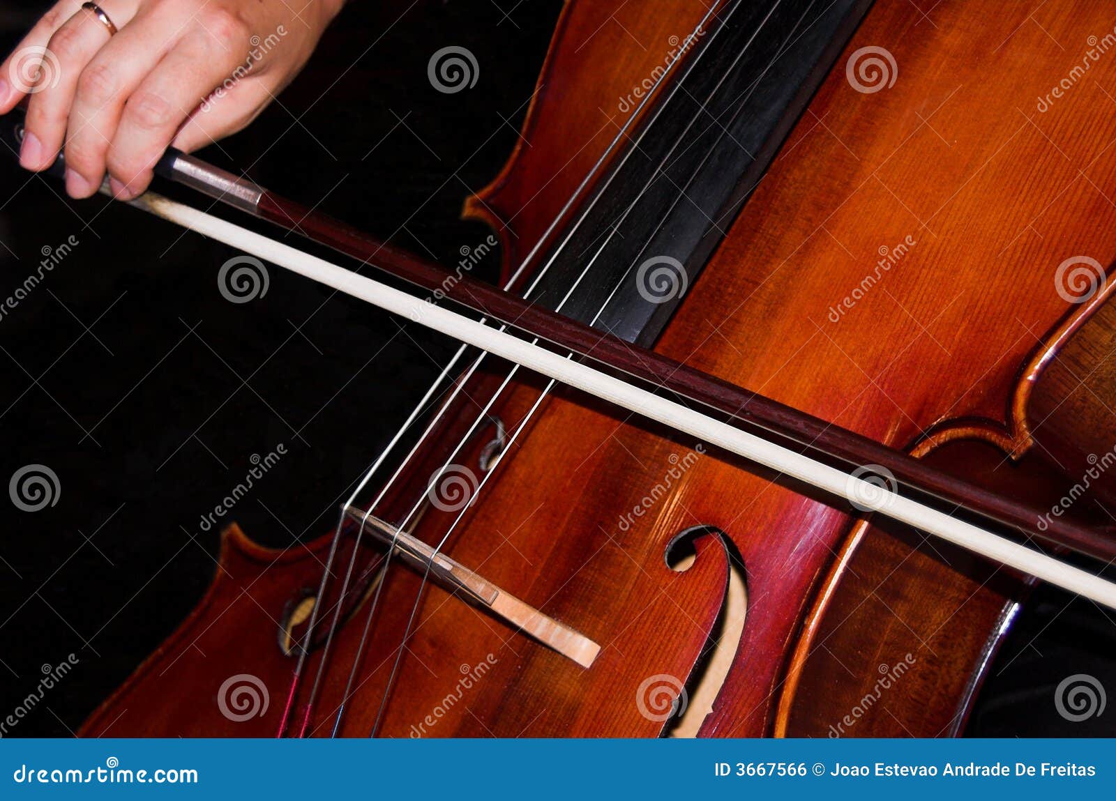 Feminine Hands Playing Cello Stock Photo - Image of concerto ...