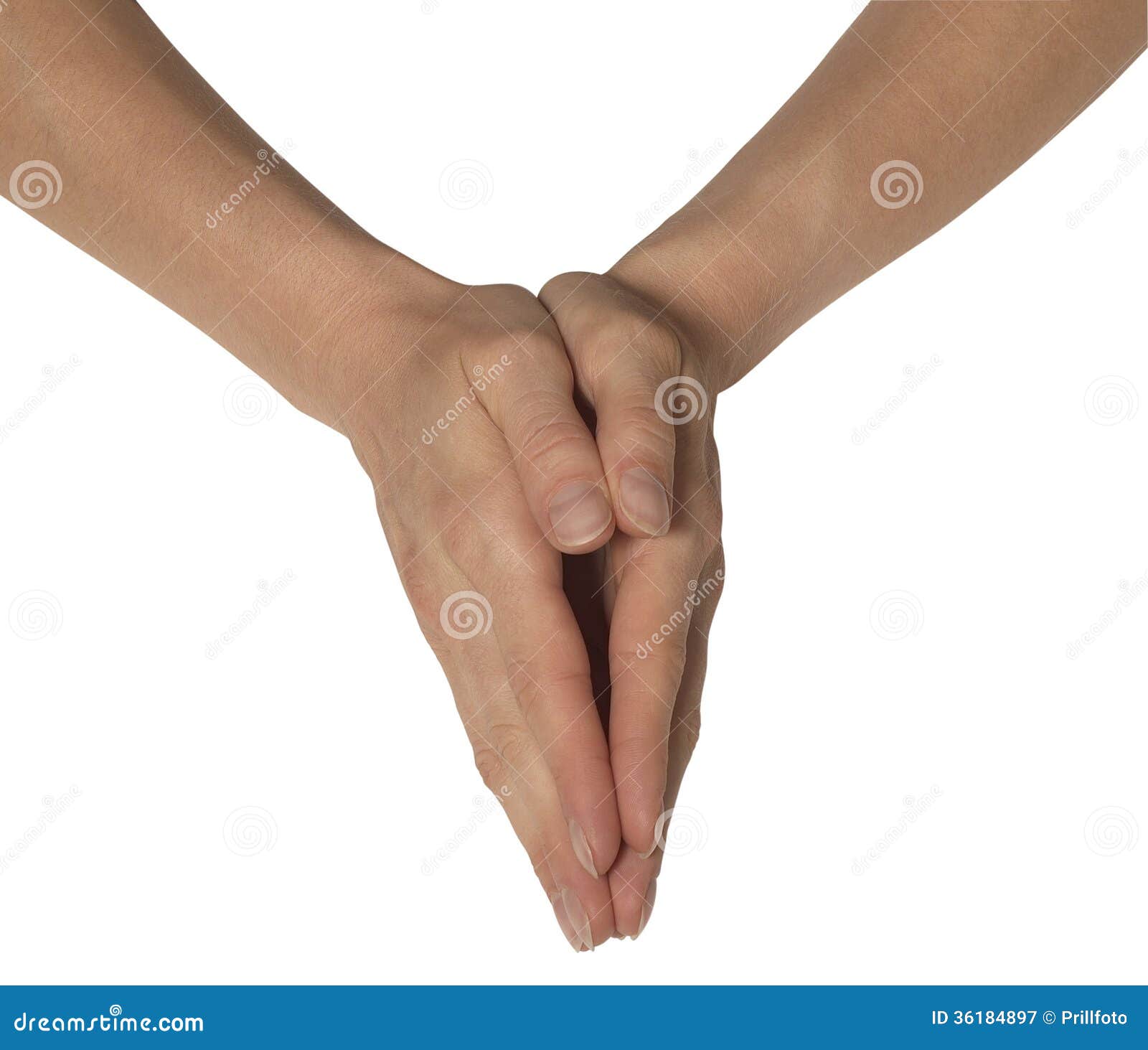 Feminine hands stock image. Image of together, sparse - 36184897