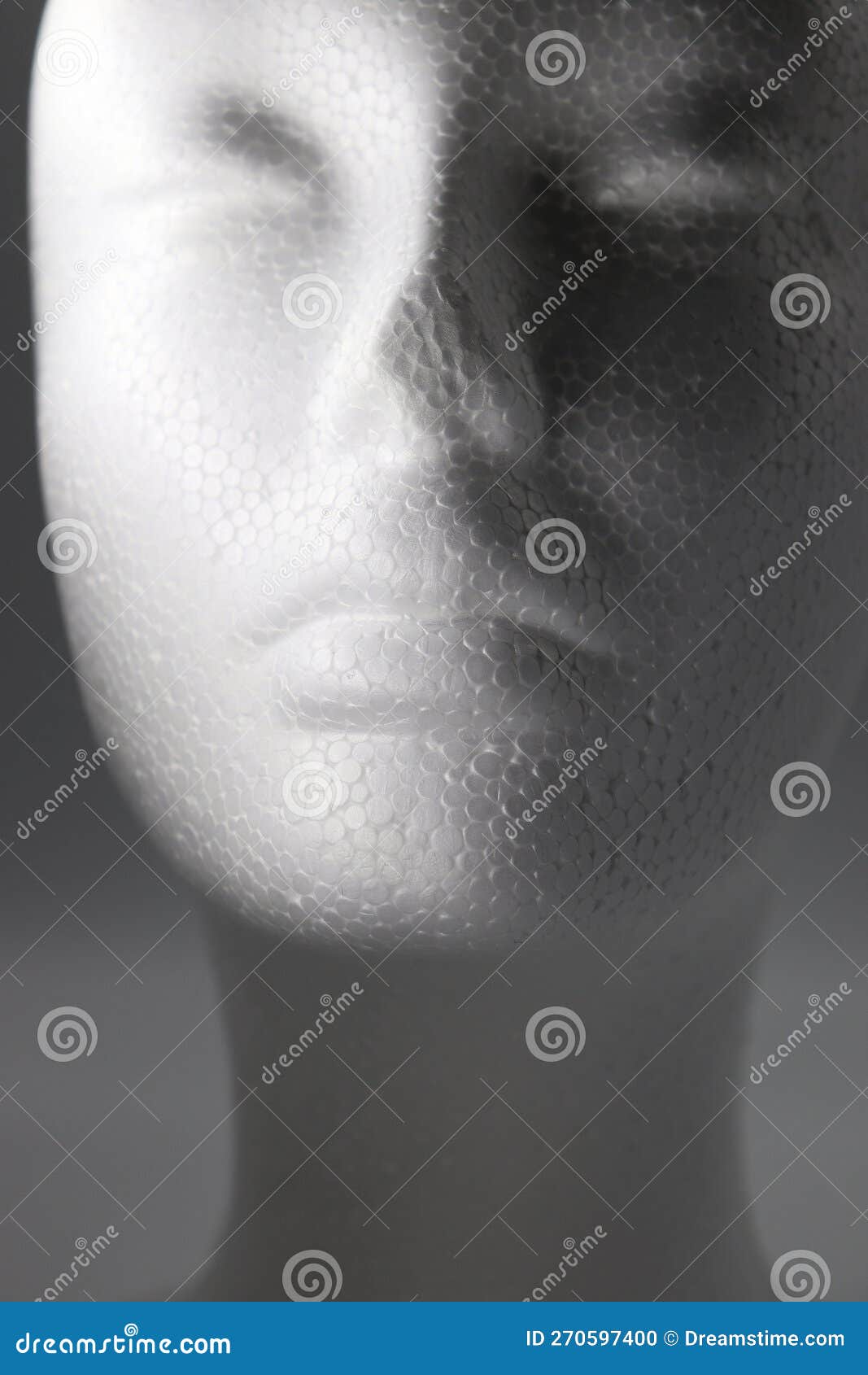 Feminine Or Nonbinary Styrofoam Mannequin Head Using Light And Shadow ...