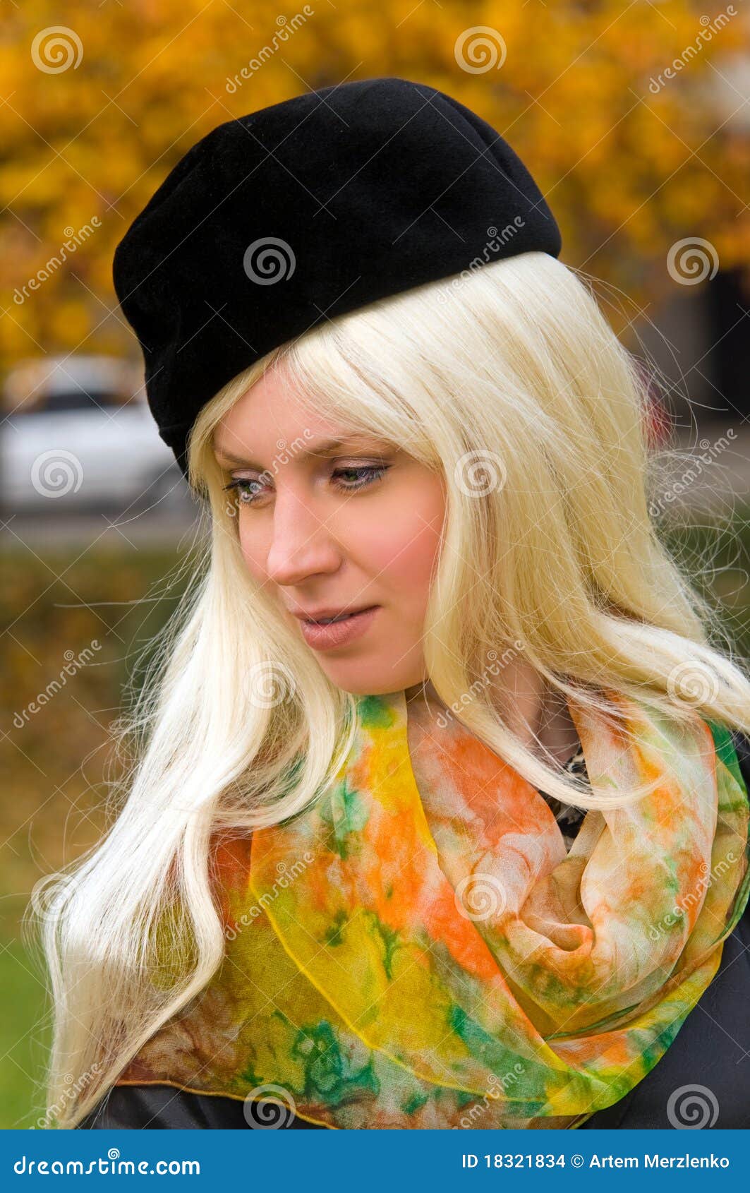 Femme Attirant Avec Une Belle Coiffe Photo stock - Image du beauté ...
