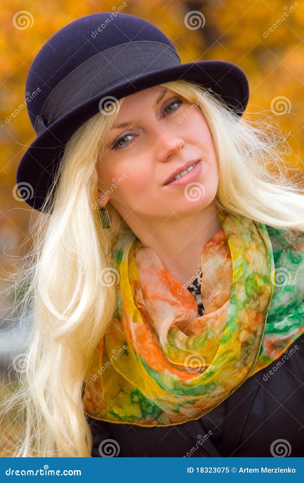 Femme Attirant Avec Une Belle Coiffe Image stock - Image du visage ...