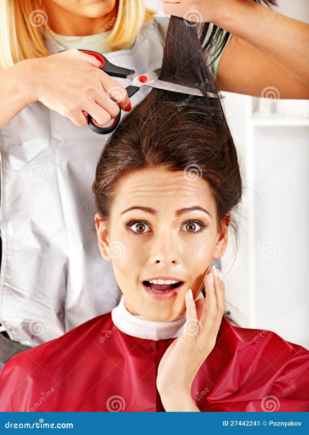 Femme au coiffeur. image stock. Image du gens, type, lifestyle - 27442241