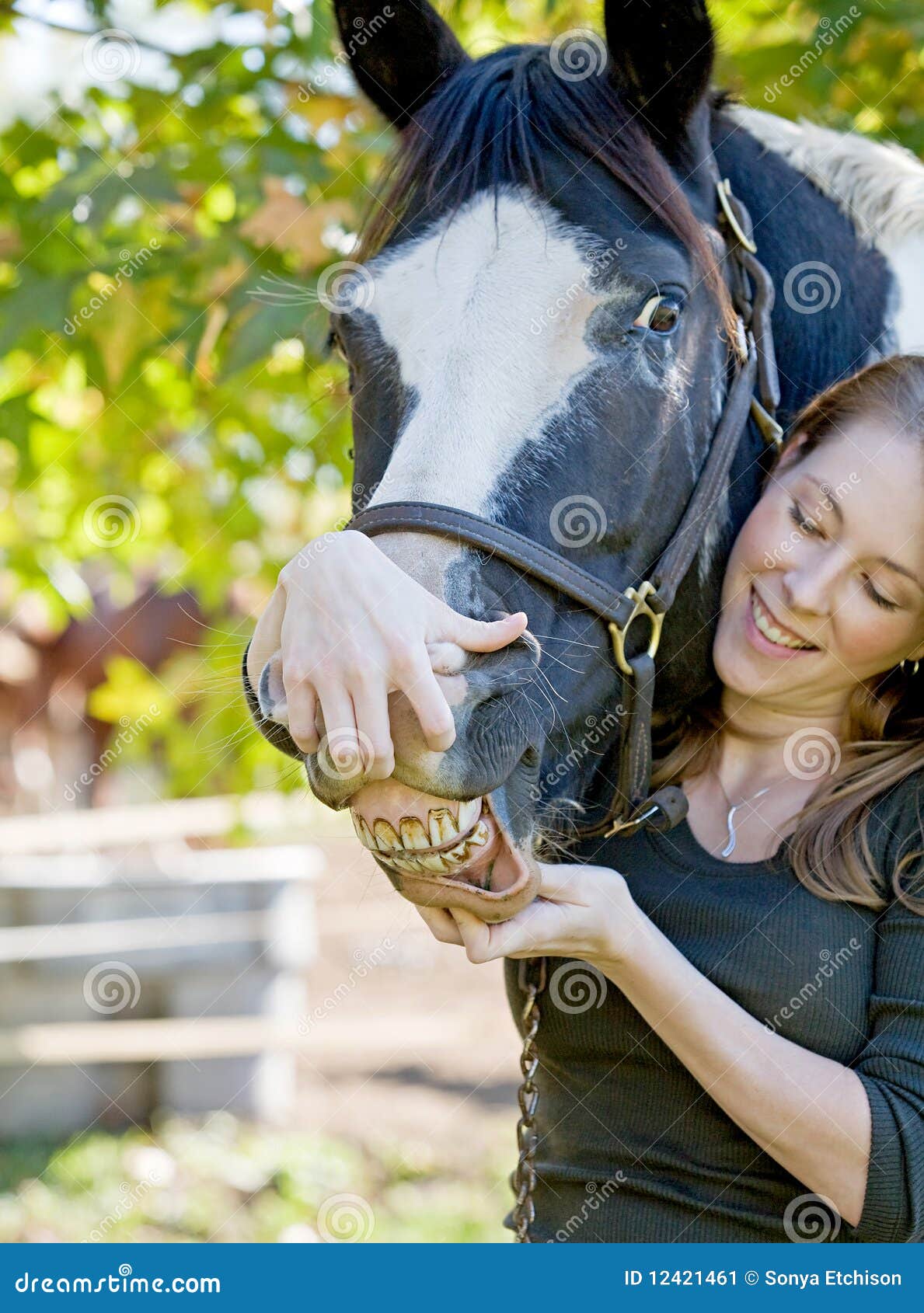 Femme avec son cheval image stock. Image du chevaux, loisirs - 12421461
