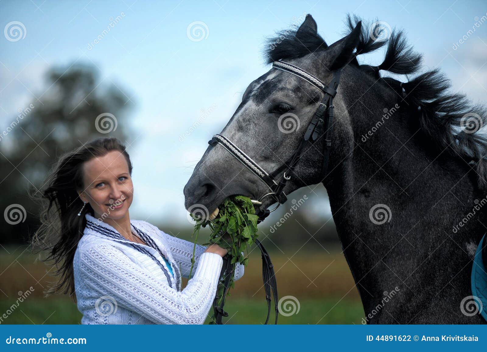 Femme Blonde Avec Un Cheval Photo stock - Image du heureux, amour: 44891622