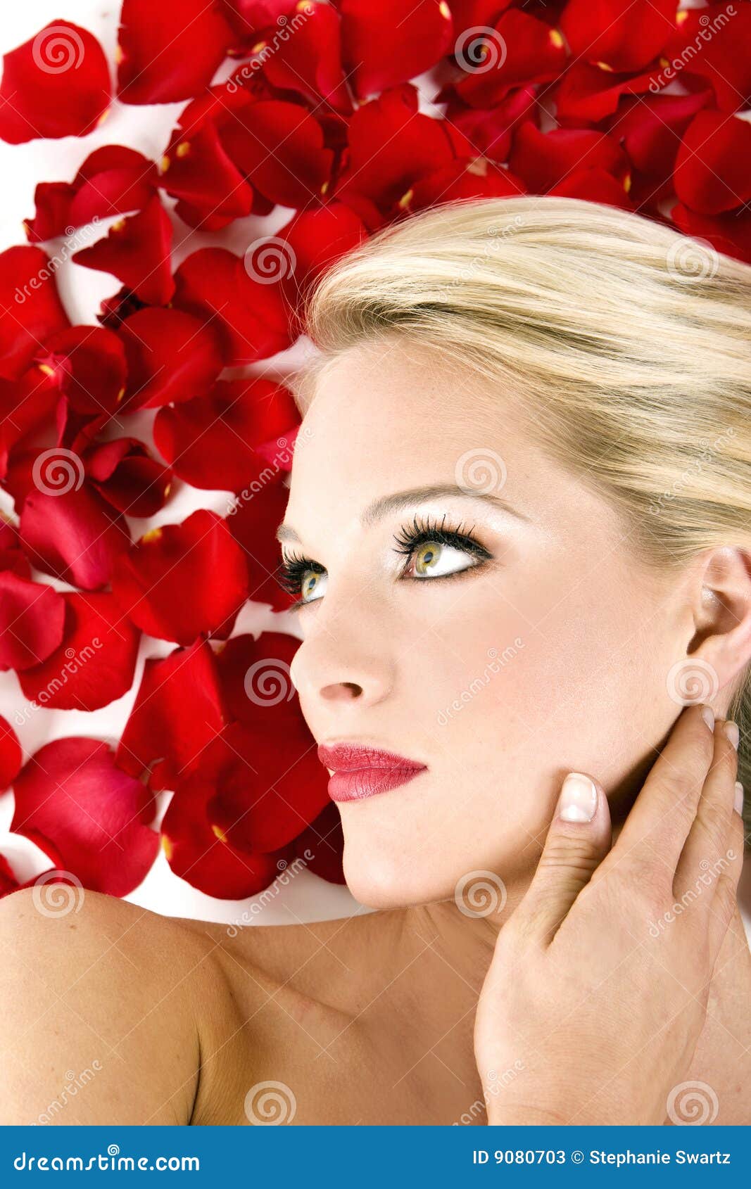 Femme dans les roses image stock. Image du frais, femelle - 9080703