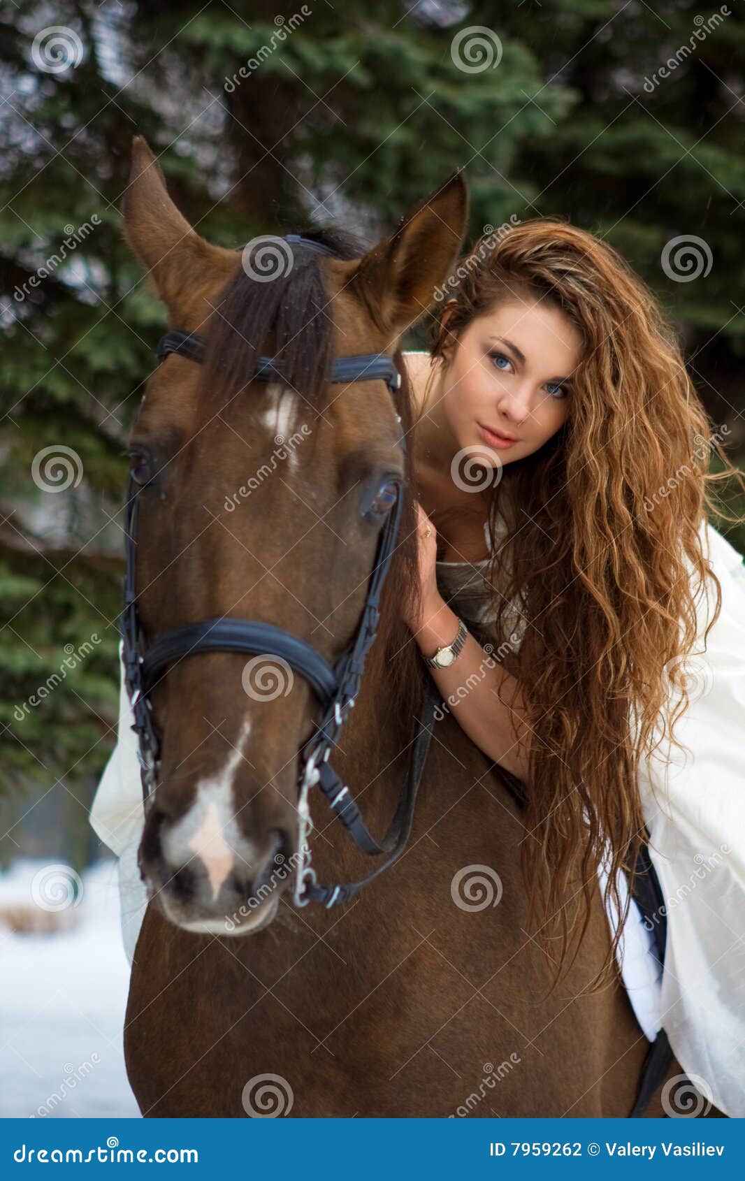 Femme de cheval photo stock. Image du galop, conduite - 7959262