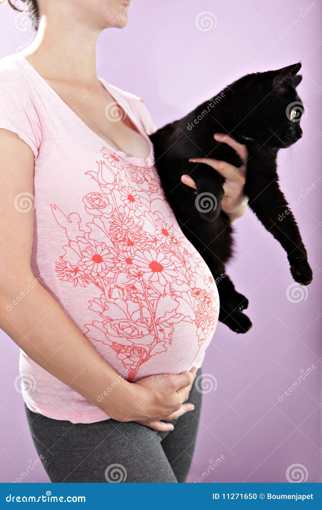 Femme Enceinte Avec Le Chat. Photo stock - Image du chéri, accouchement ...