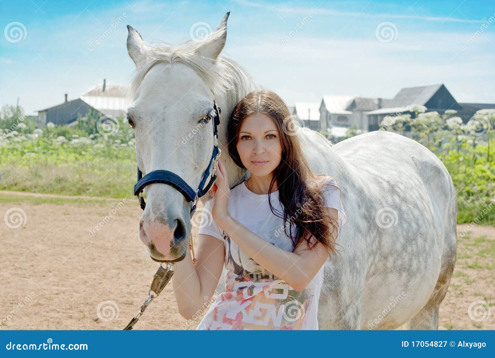 Femme et cheval image stock. Image du amitié, couleur - 17054827
