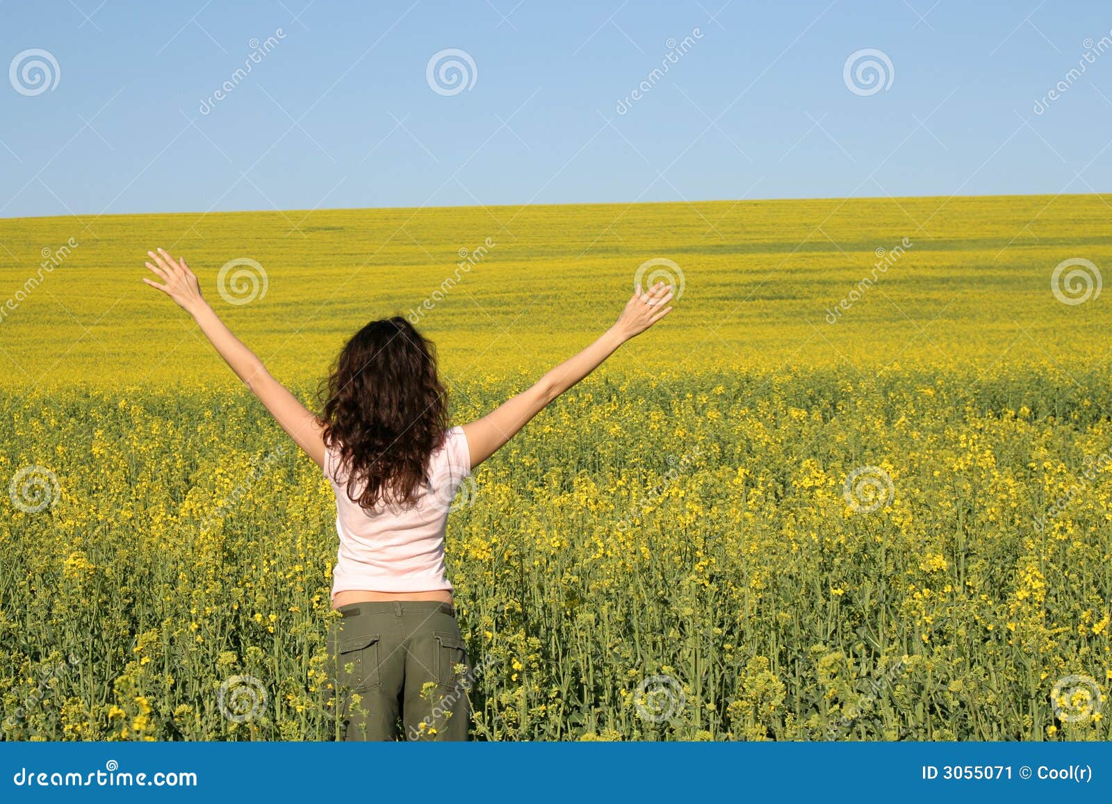 Femme libre image stock. Image du vert, horizon, tendu - 3055071