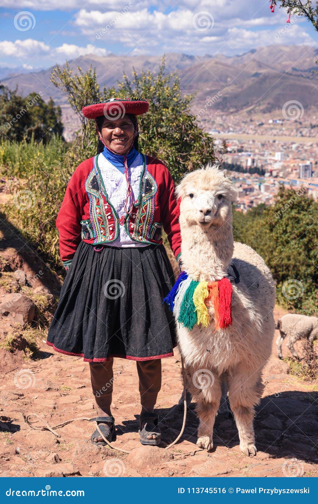 Femme Péruvienne Avec Le Lama Dans Cusco Photo éditorial - Image du ...