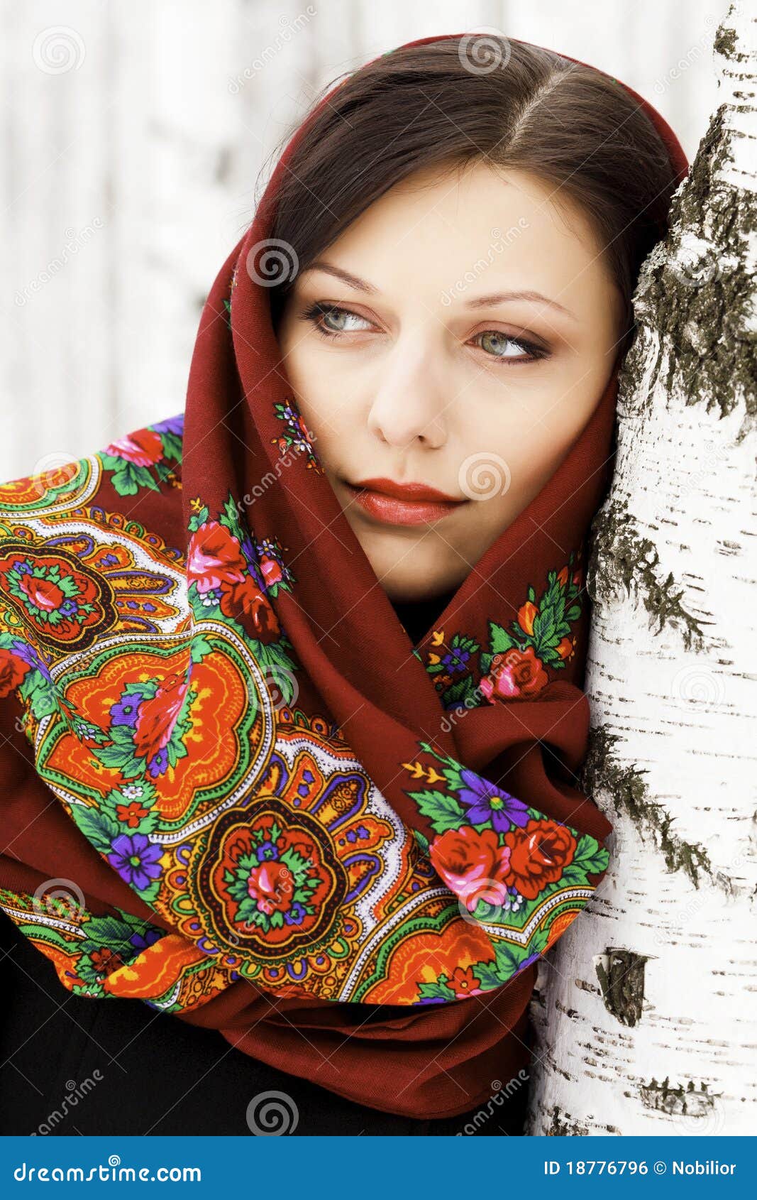 Femme russe magnifique photo stock. Image du visage, mode - 18776796