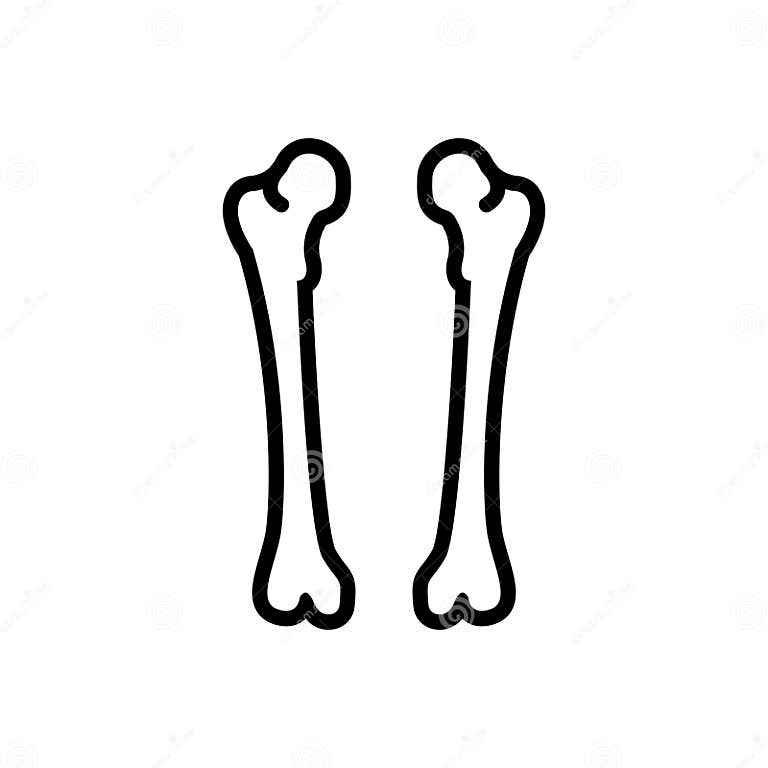 Black Line Icon for Femur, Bone and Calcuim Stock Vector - Illustration ...