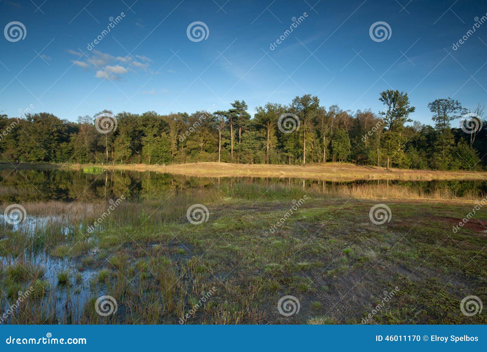 Fen Landscape with Morass on the Foreground. Stock Photo - Image of ...