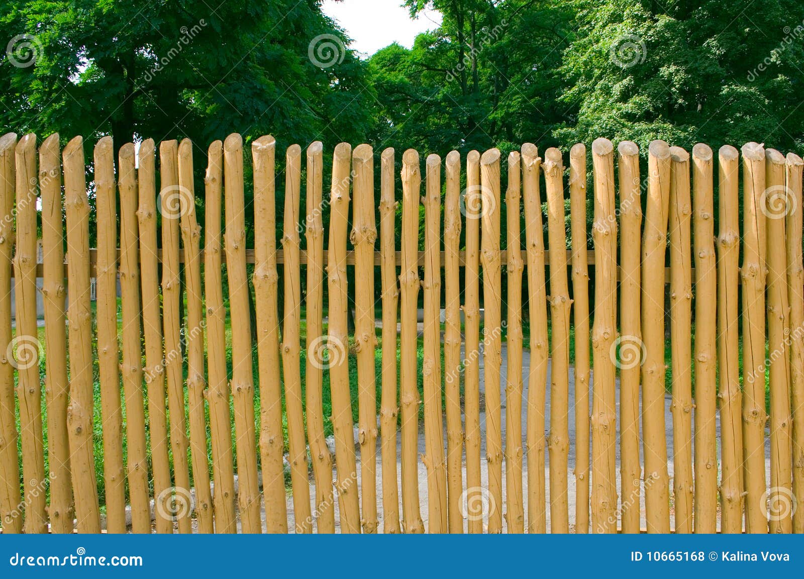 Fence stock photo. Image of environment, foliage, dream - 10665168