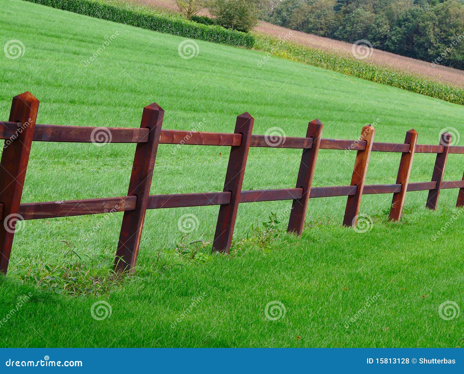 Fence stock photo. Image of agricultural, outdoor, nature - 15813128