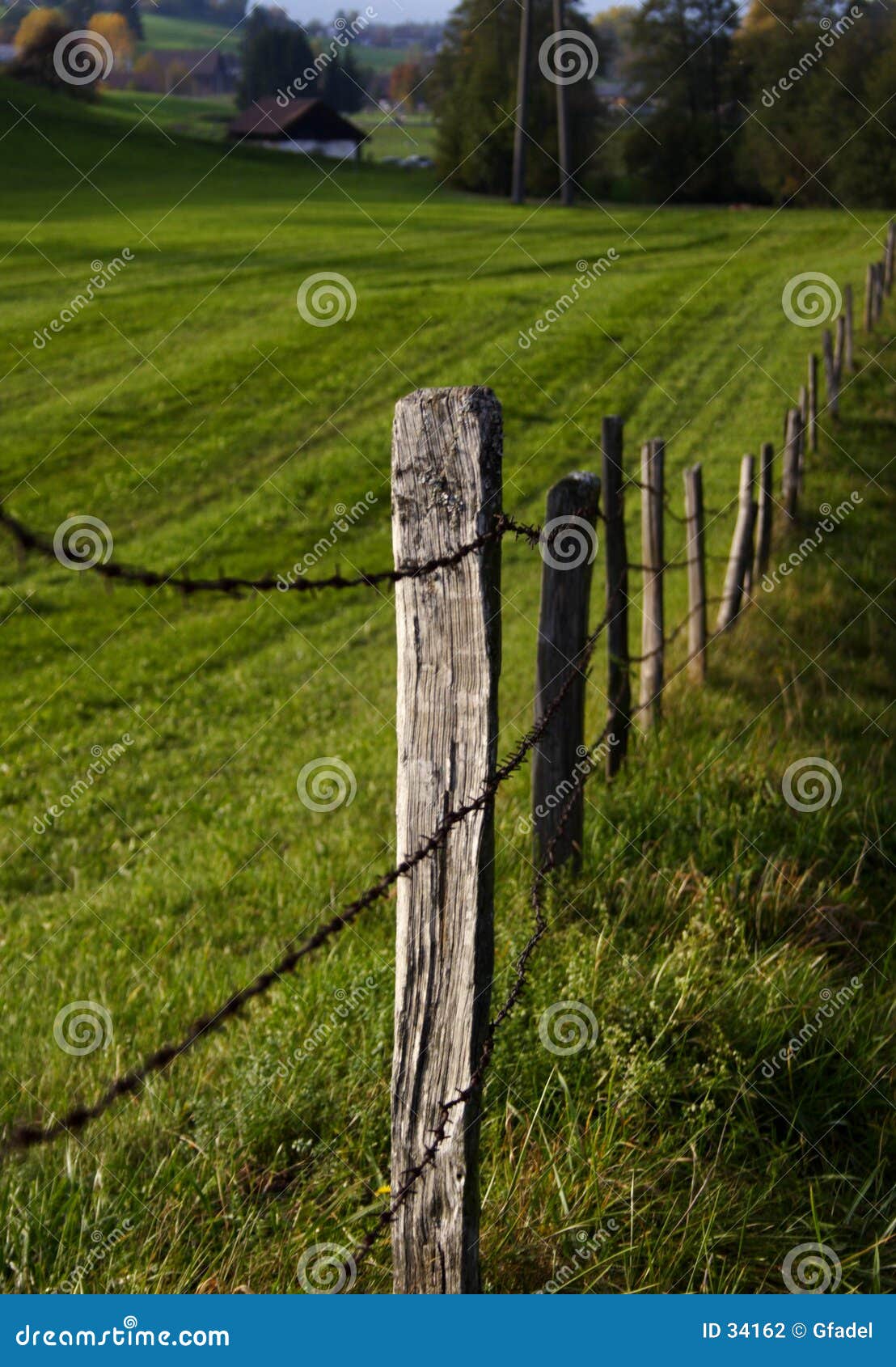 35,103 Freedom Border Stock Photos - Free & Royalty-Free Stock Photos ...