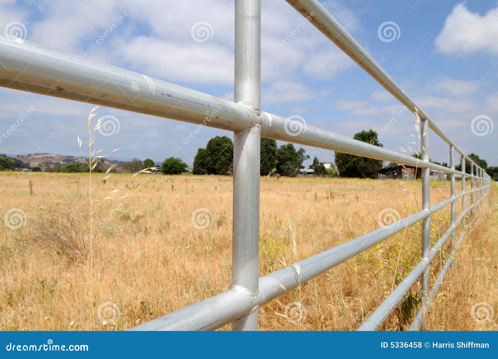 Pipe Fence Builders