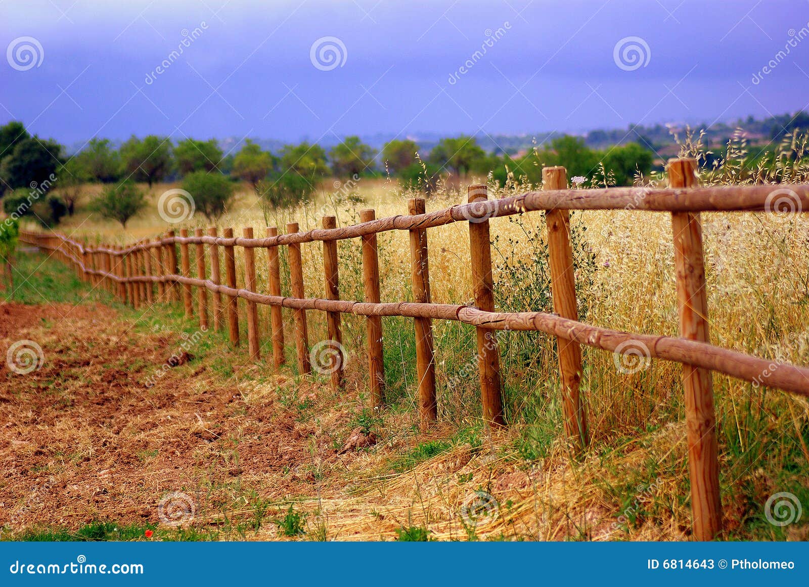 A fence stock image. Image of colorful, bright, harness - 6814643
