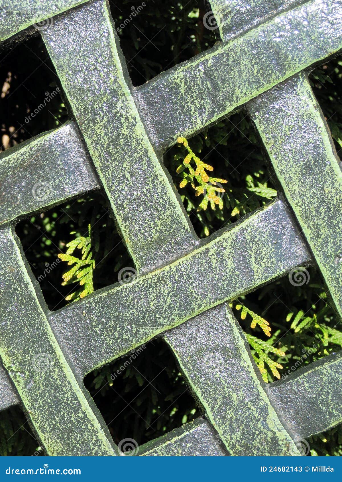 Fence abstract stock image. Image of view, background - 24682143