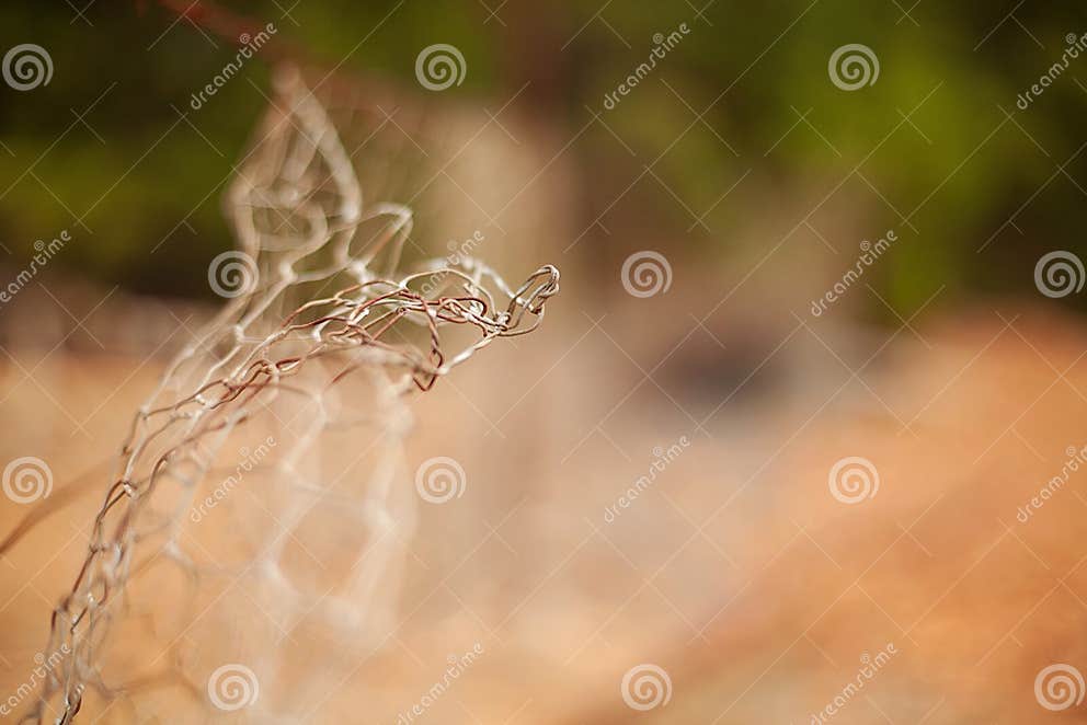 Fence Abstract stock photo. Image of fence, abstract - 25924302