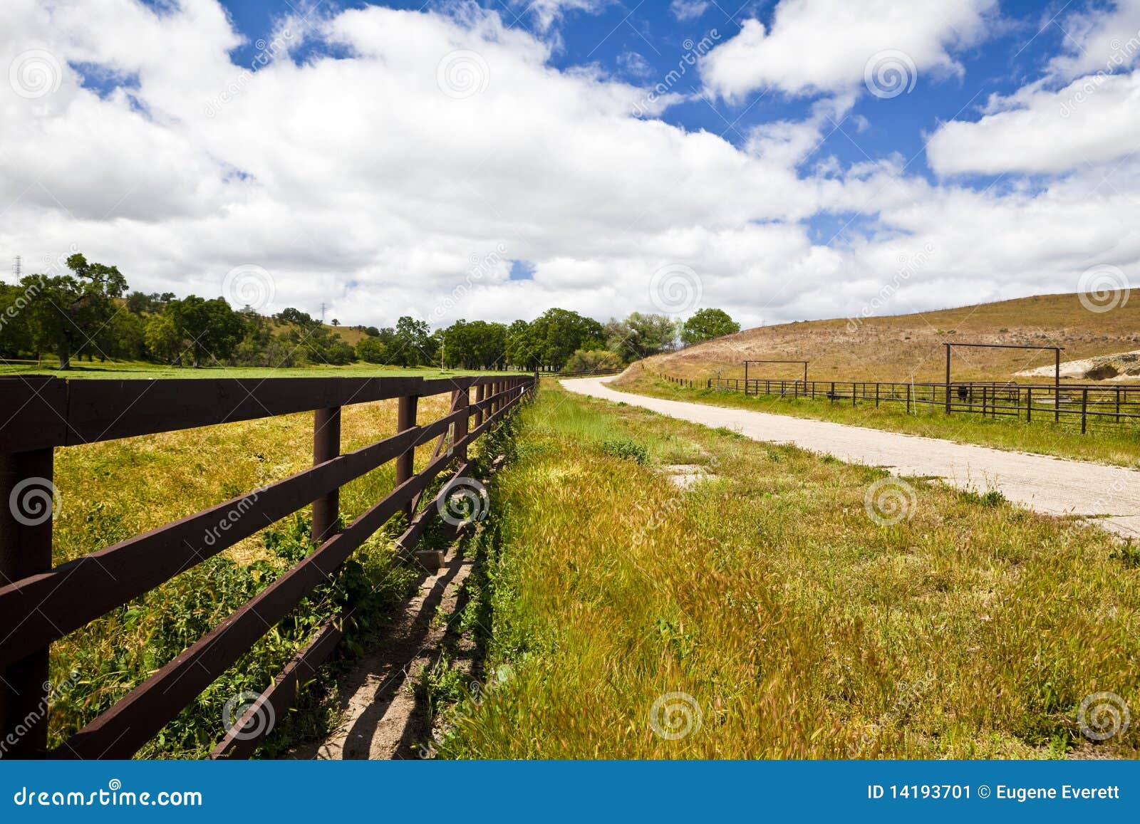 Fence Along a Country Road stock image. Image of narrow - 14193701