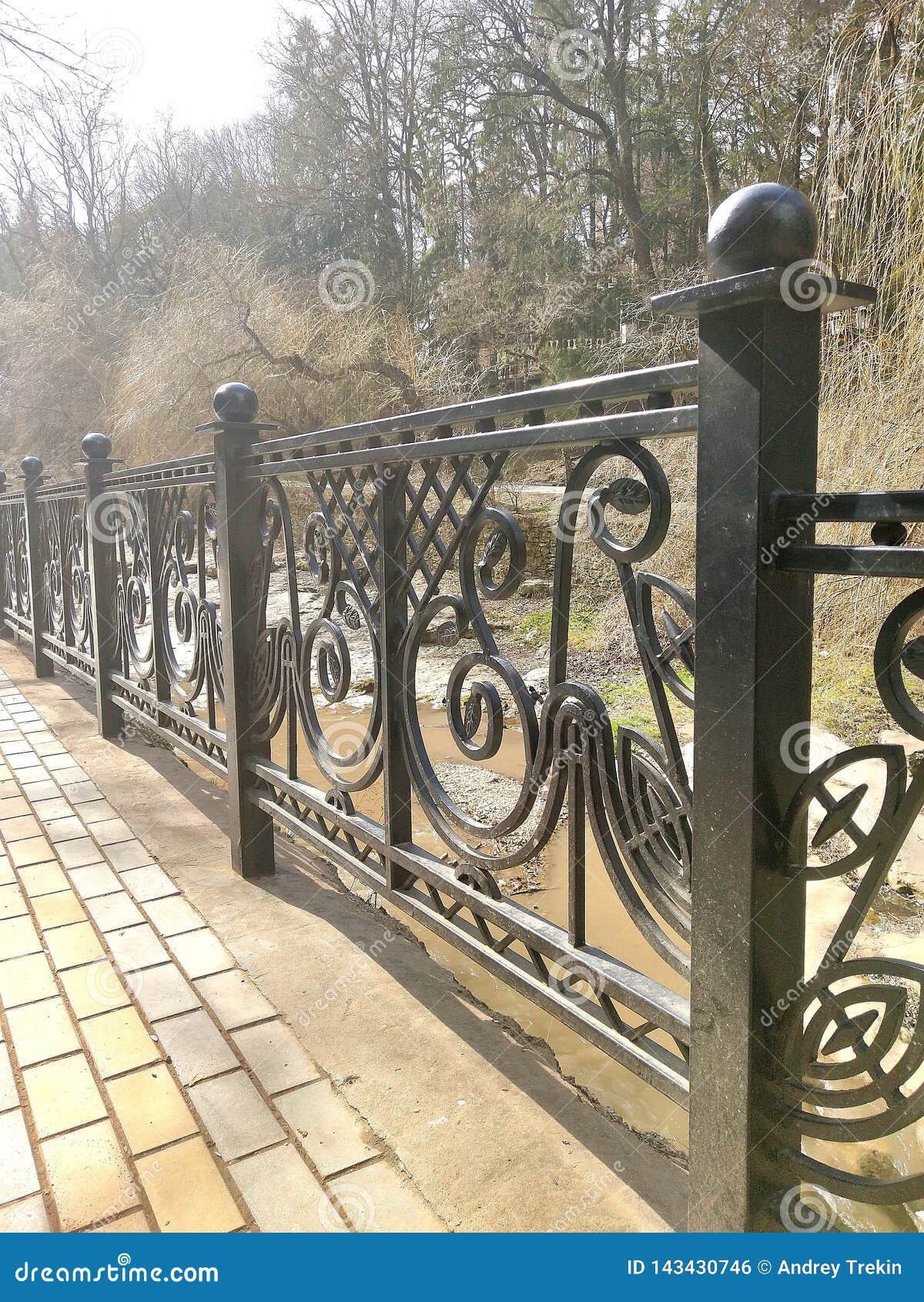 Fence along the river stock photo. Image of trees, outdoor - 143430746