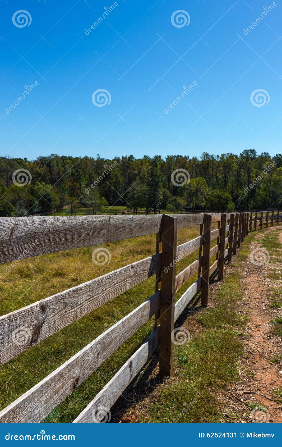 Fence along a road stock image. Image of nature, grass - 62524131