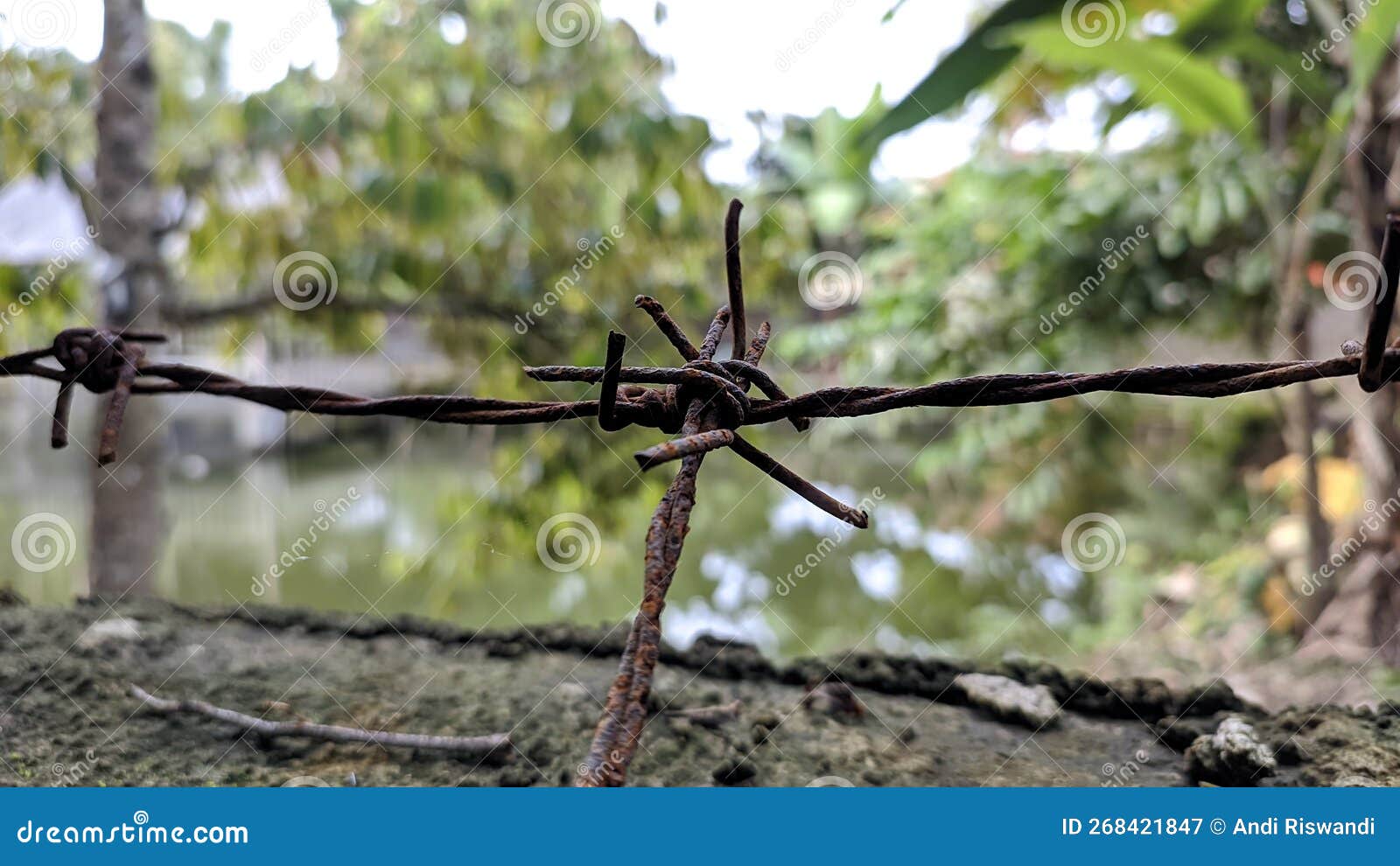 Fence Background of Stretched Wire, Looks Very Sharp Stock Image ...