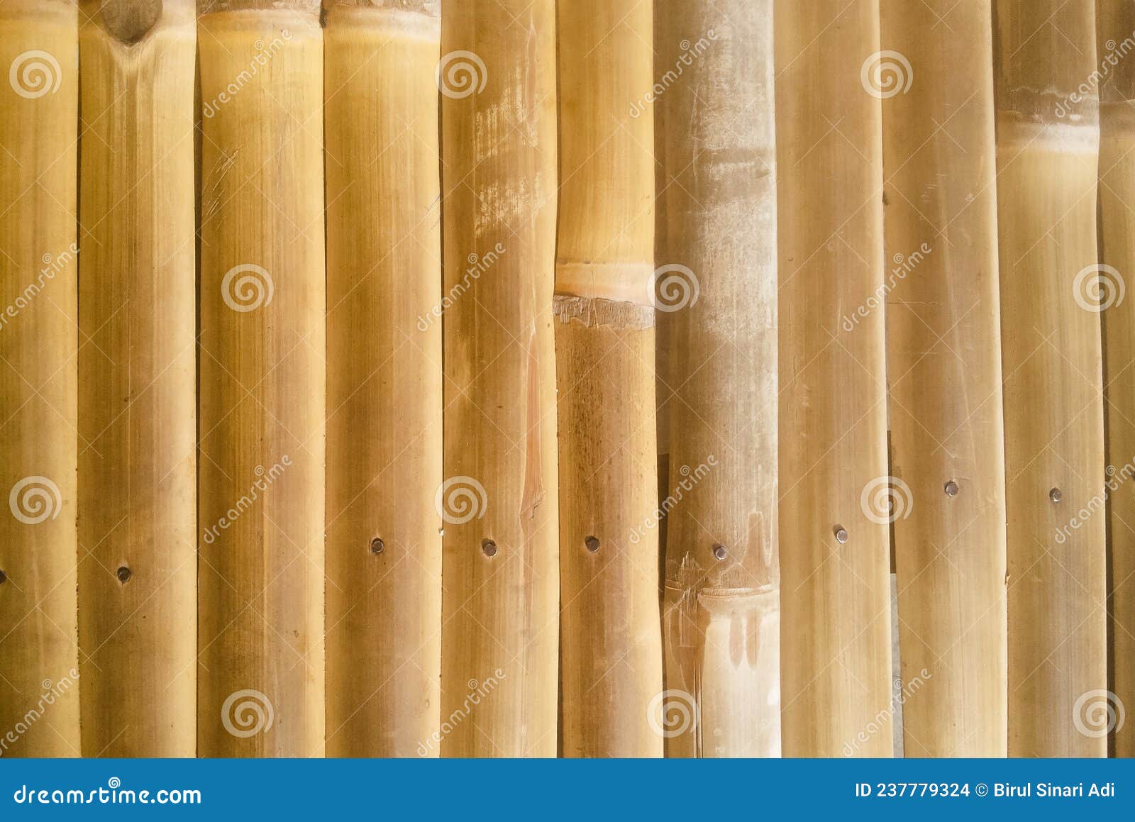 A Fence of Bamboo Splits stock photo. Image of forest - 237779324