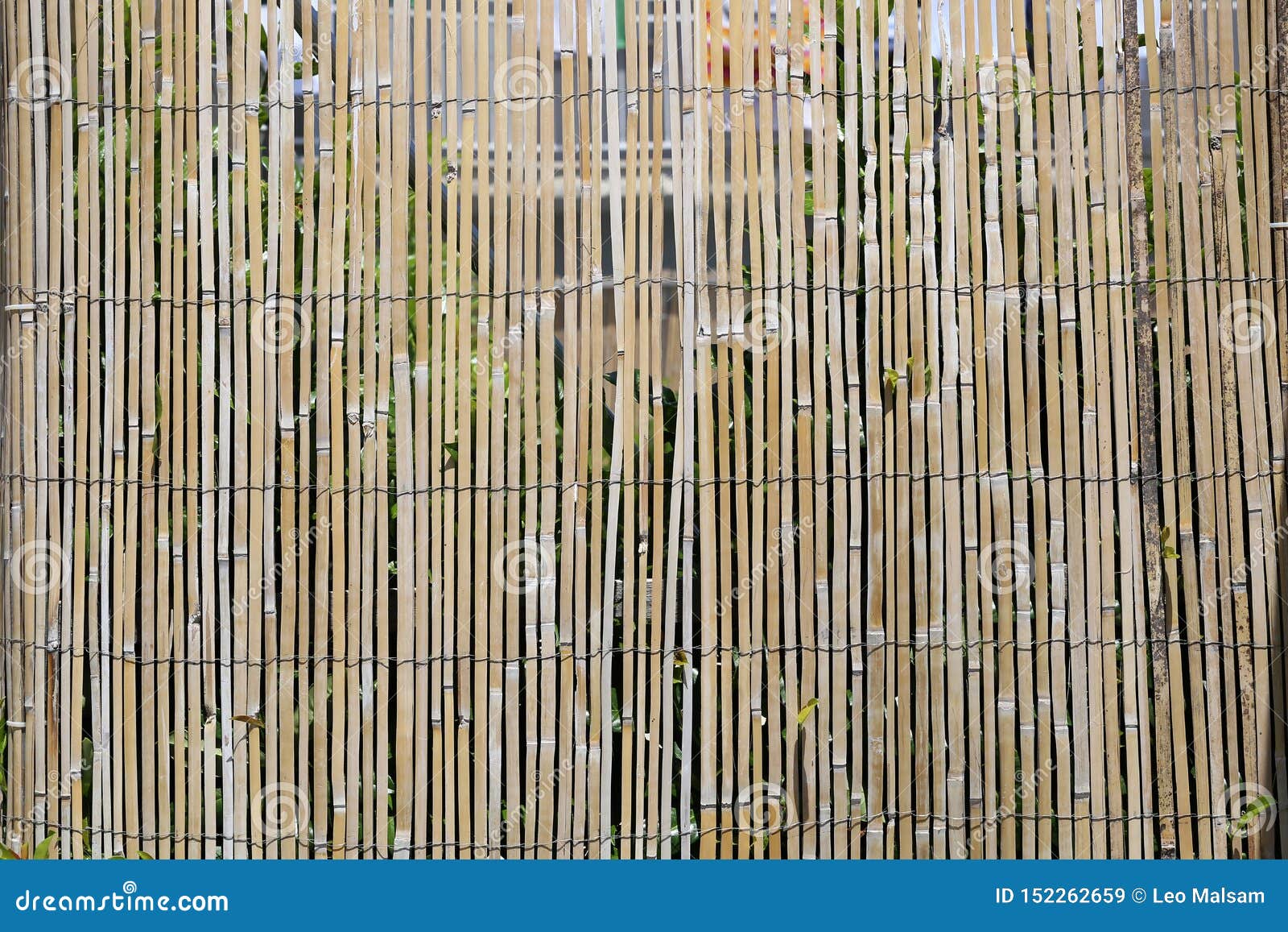 Fence of Bamboo Sticks Fastened with Wire Stock Image - Image of fasten ...
