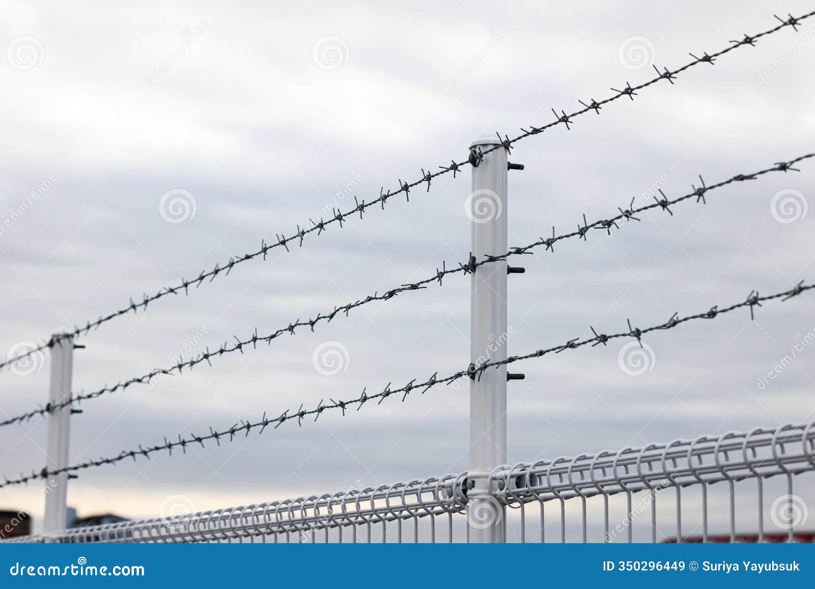 Fence with Barb Wire, Metal Chain with Spike for Safety and Security ...