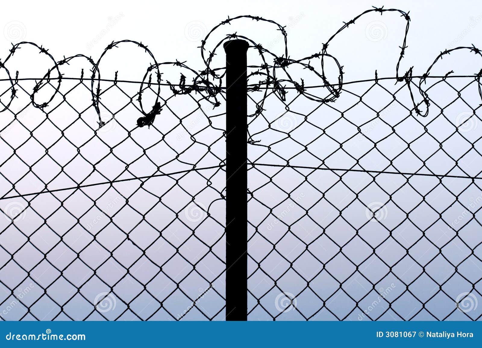 Fence with barbed wire stock image. Image of barrier, prevent - 3081067